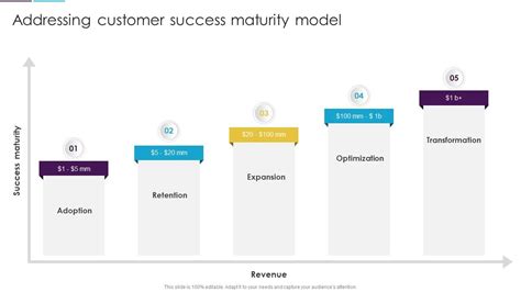 Addressing Customer Success Maturity Model Guide To Customer Success Presentation Graphics