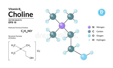 Choline Structure