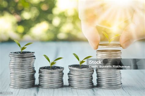 어두운 배경에서 동전에 자라는 남성 손 쌓기 동전과 나무의 클로즈업 비즈니스 금융 및 돈 동전 및 투자 예산에서 자라는 식물 돈 투자를 절약합니다concept 강둑에 대한