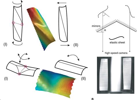 Figure 1 From Dynamics Of Elastic Defects In Thin Plates Semantic Scholar