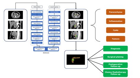 Deep Learning For Pancreas Segmentation A Systematic Review Ai