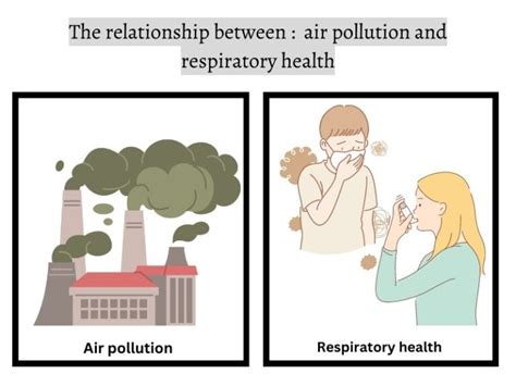 Common Examples Of Positive Negative And Zero Correlation In Real