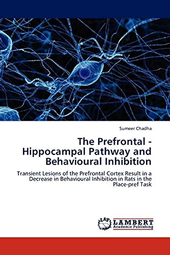 The Prefrontal Hippocampal Pathway And Behavioural Inhibition Transient Lesions Of The