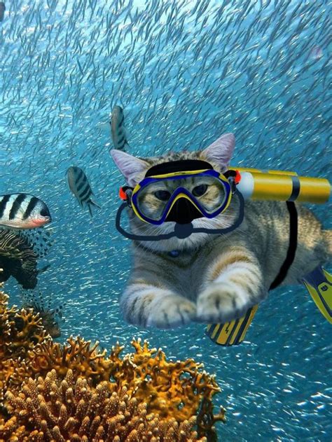 Darla Crane On Twitter