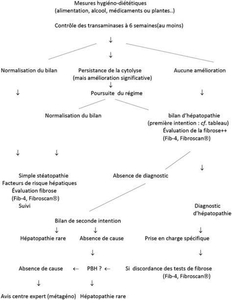 Cytolyse Chronique Quand On Ne Trouve Rien Fmc Hge