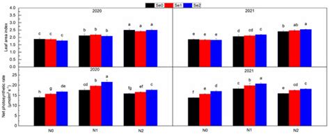 Selenium And Nitrogen Fertilizer Management Improves Potato Root Function Photosynthesis Yield