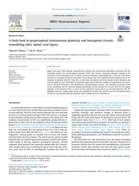 Pdf A Fresh Look At Propriospinal Interneurons Plasticity And Intraspinal Circuits Remodeling