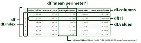 Structure Of Pandas Dataframes And Series Made Simple Kriterion