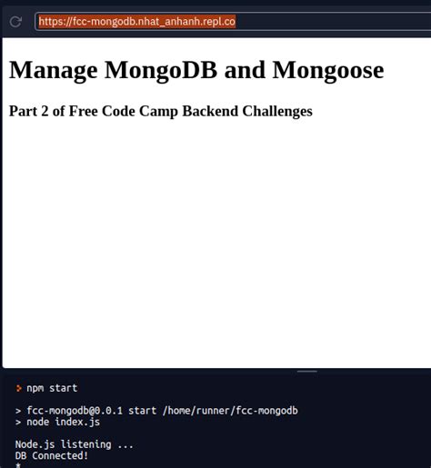 What Link Should I Use As My Solution Javascript The Freecodecamp Forum