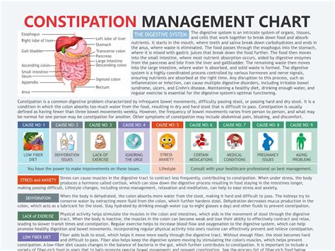 Constipation Management Chart Digital Download Pdf Prevent Constipation Constipation Relief