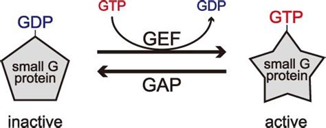 Various Methods To Detect Small Gtpase Activation From Radioisotope