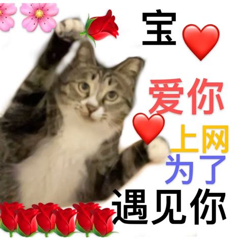 燕子没有你我怎么活表情包大全 抖音燕子没有你我怎么活原图合集下载 3dm手游