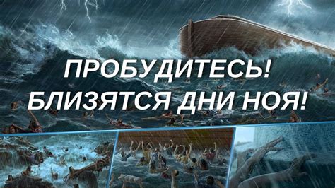 Пророчества о последнем времени в Библии уже исполнились «Настали дни Ноя Youtube