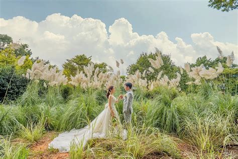 팜파스~ 가을이 전해지는 셀프웨딩🍂 소다수스타일
