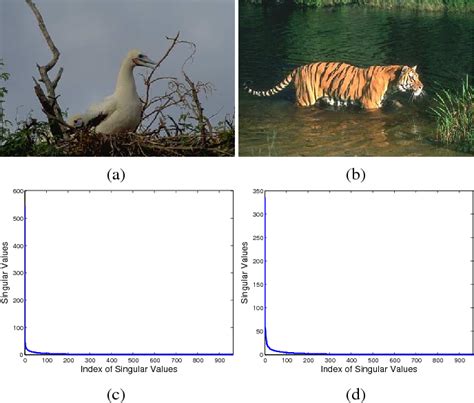 figure 1 from tensor factorization for low rank tensor completion