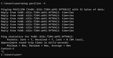 Force Ping To Respond With IPv Address