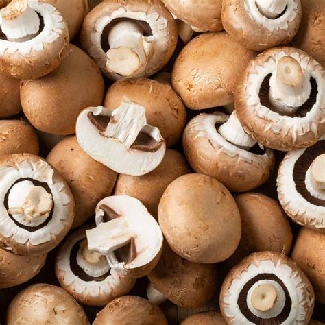 Le Champignon Brun Géant Mon Marché