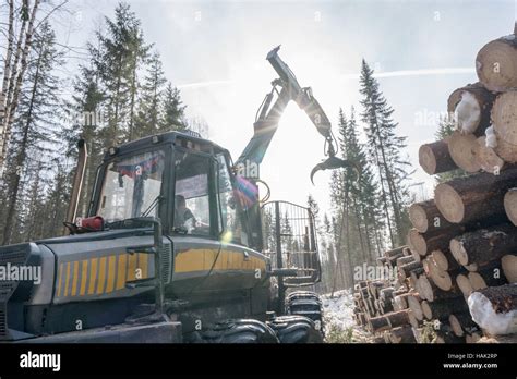 Logger Hi Res Stock Photography And Images Alamy