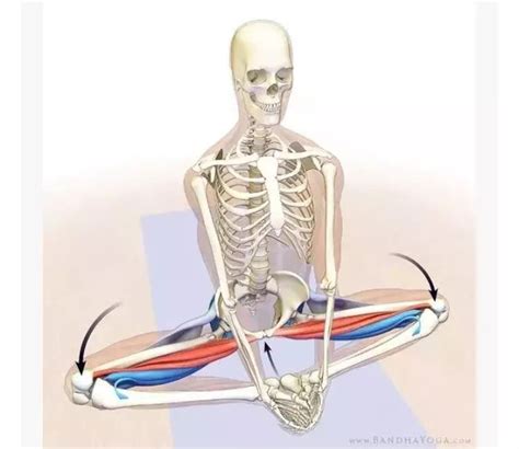 因为髋紧所以做不好束角式，真的是这样吗？