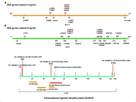 single nucleotide variations in genes that confer resistance to