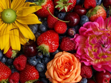 Aktivierung Ein Explosiver Obstsalat Übung Zum Kreativen Schreiben
