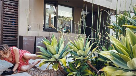 Watch Online Radha Mitchell Rosie Fellner Life Upside Down