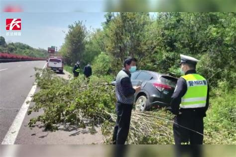 小车高速上突然冲向路边护林原因令人无语低头捡手机所致 护林 低头 原因