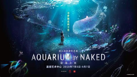 寻梦海底两万里 深海之光 沉浸式艺术展 展览 美术网 Mei shu