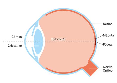 Know The Refractive Errors Myopia Hyperopia Astigmatism And Presbyopia