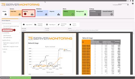 Server Network Usage Report Tsplus Remote Access