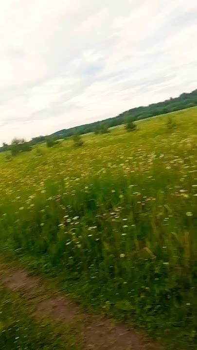 Эх Ромашка Василек Music Youtube