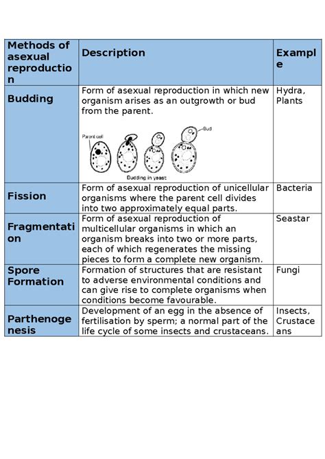 Methods Of Asexual Reproduction Methods Of Asexual Reproductio N Description Exampl E Budding