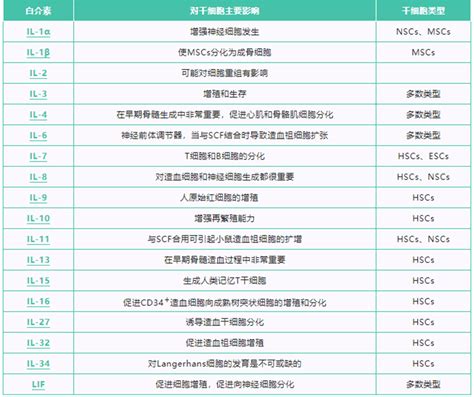 干细胞分化、培养、研究的重要工具：细胞因子 Stem 造血 开发