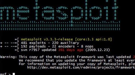 A Professional Guide To Using Metasploit