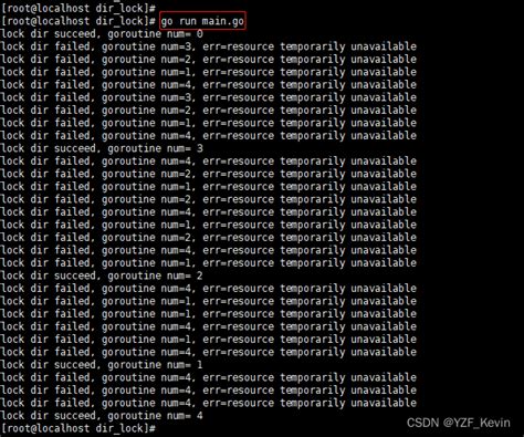golang文件锁，目录锁，syscall包的使用 go syscall包 csdn博客