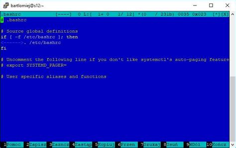 How To Install Wp Cli On Smarthostpl Servers