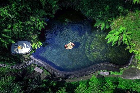 발리 풀리나 커피 농장 체험 티켓 투어티켓 예약ㅣ데이오프