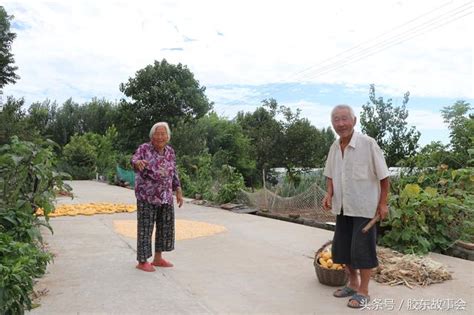 青島萊西有個地方叫「爻子埠」，這個名字有什麼講究？ 每日頭條