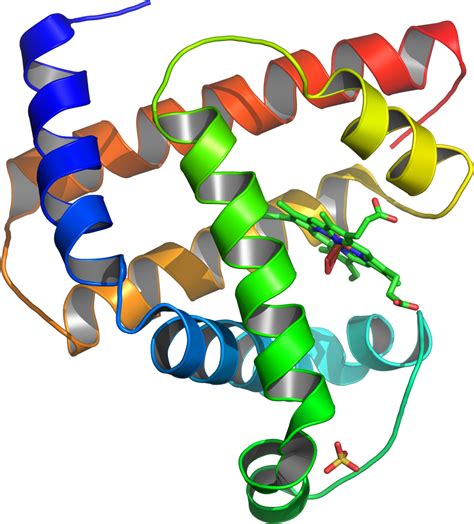 Proteine