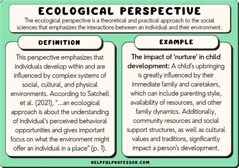 Ecological Perspective Definition And Examples 2025