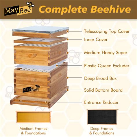 Langstroth Hive Dimensions A Complete Guide Bee Professor 40 Off