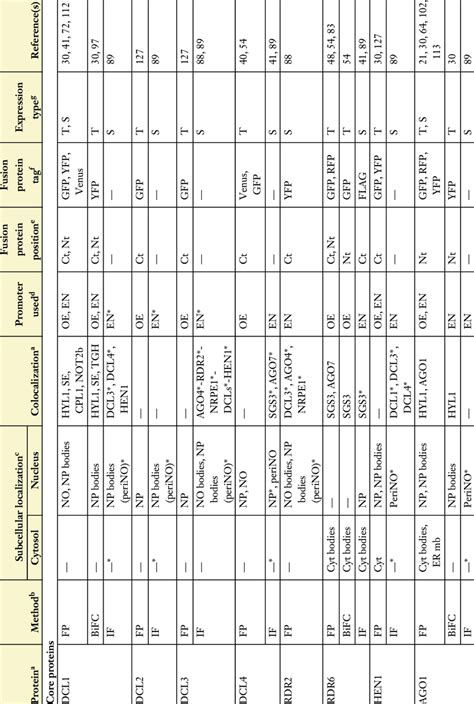 Subcellular Localization And Interaction Of Small Rna Pathway Proteins