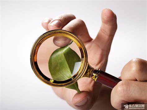 商务部等12部门联合发文提振消费专题频道东方财富网