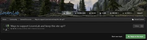Ways To Support Loverslab And Keep This Site Up General Discussion