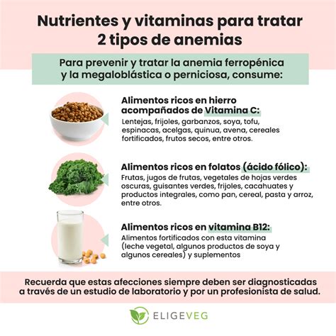 ¿sabes Cómo Prevenir La Anemia ¡aquí Te Decimos Cómo