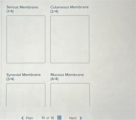 Solved Serous Membrane 14synovial Membrane 34cutaneous