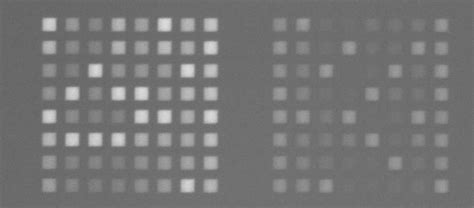 Fluorescence Micrograph Of Hybridized Features In The 16mer Mismatch
