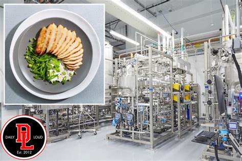 303modelcitizen On Twitter Rt Dailyloud Fda Says Lab Grown Meat Is Safe To Eat” 🥩👀