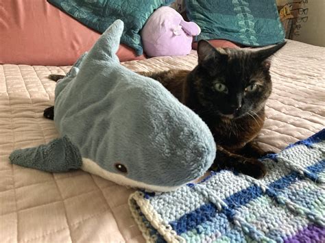 Maka And Her Friend Mini Blahaj R Blahaj