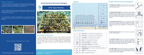 Crcs Guide To Coral Reef Restoration